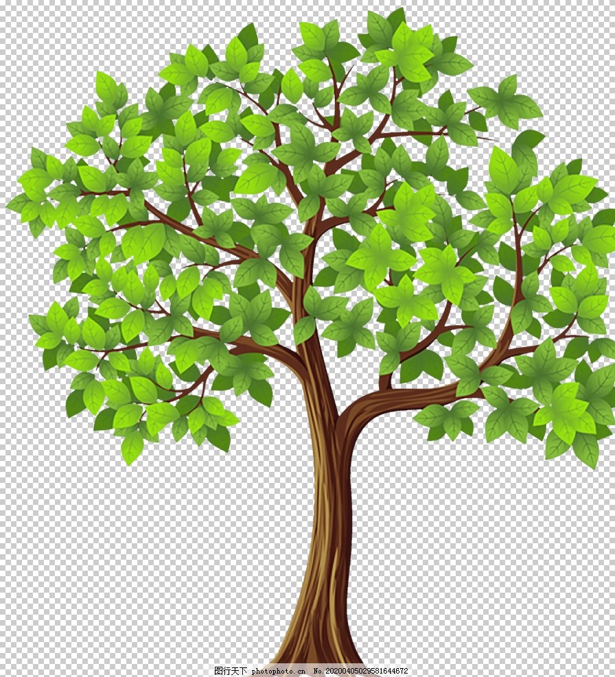 透明大树png素材图片_其他_其他-图行天下素材网